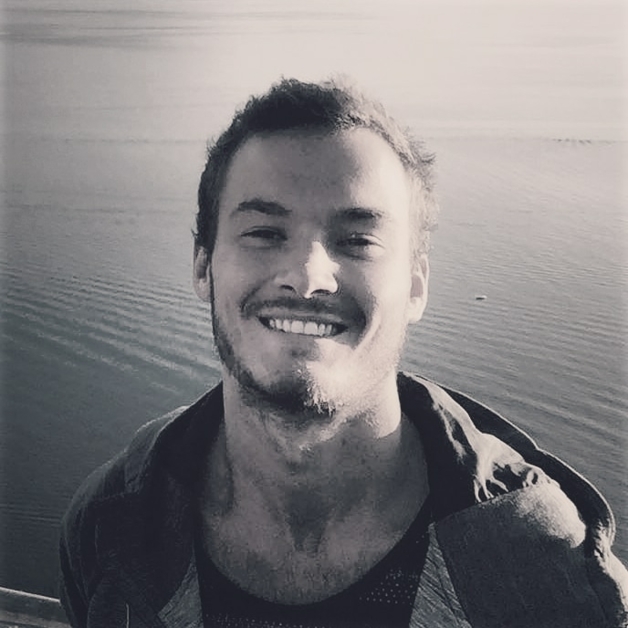 Robin Lintingre | Product Owner Freelance • MetaStrat